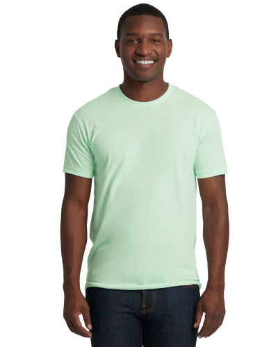 Next Level - N6210 // MINT